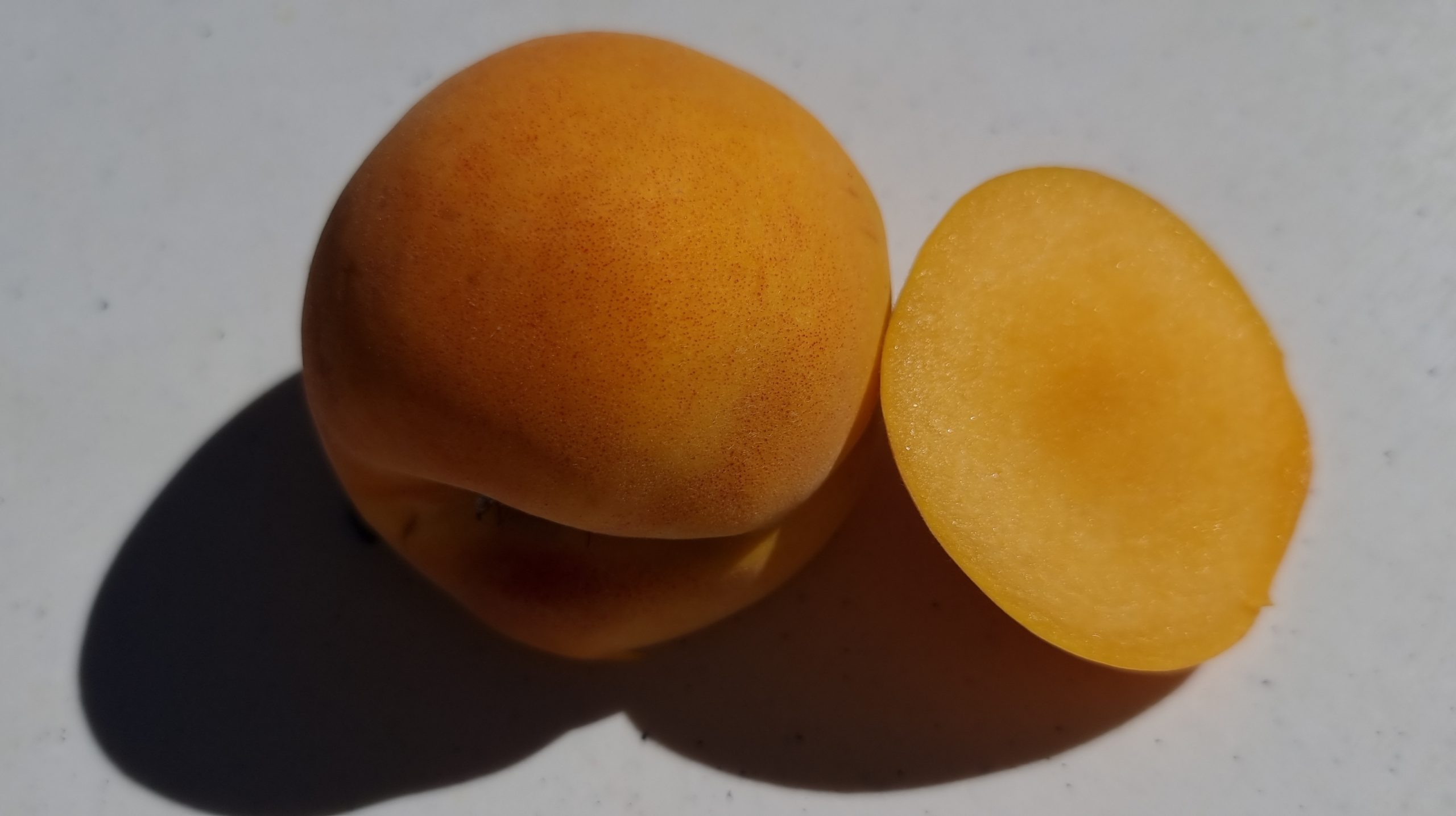 Golden Peaches - 5kg box - Available in March – Roberts Family Fruit