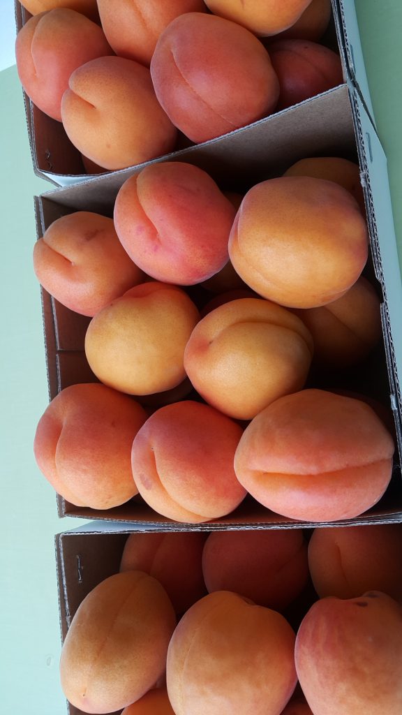 Roberts Family Orchards Summer Fruit