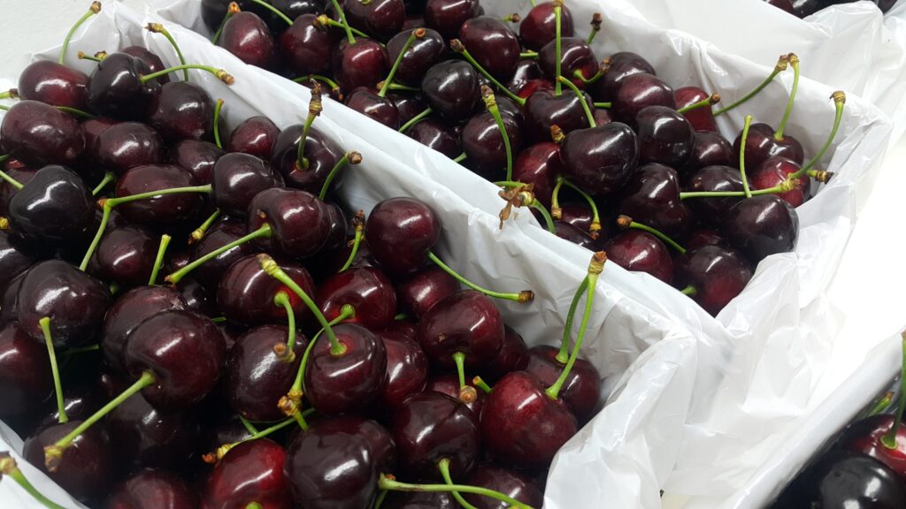 Export Quality Cherries - 5kg – Roberts Family Fruit